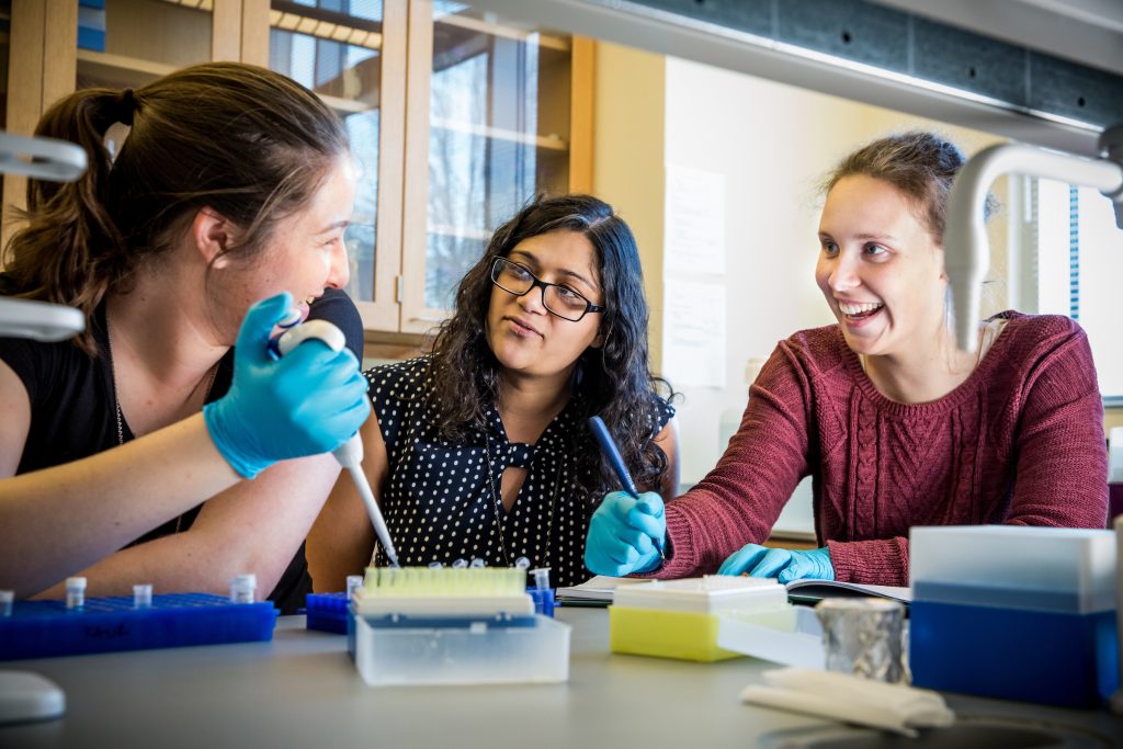 Full-Time Faculty Positions - Academic Affairs